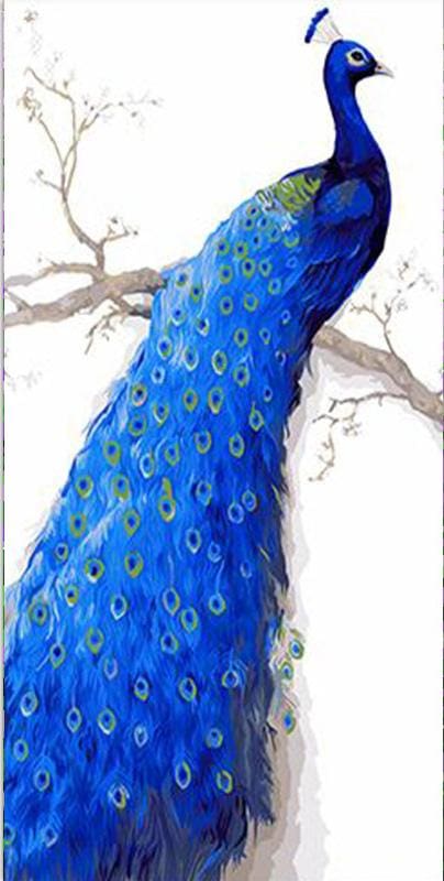 Color De Pintura Azul Pavo Real Pintar Por Numeros – Etiquetado